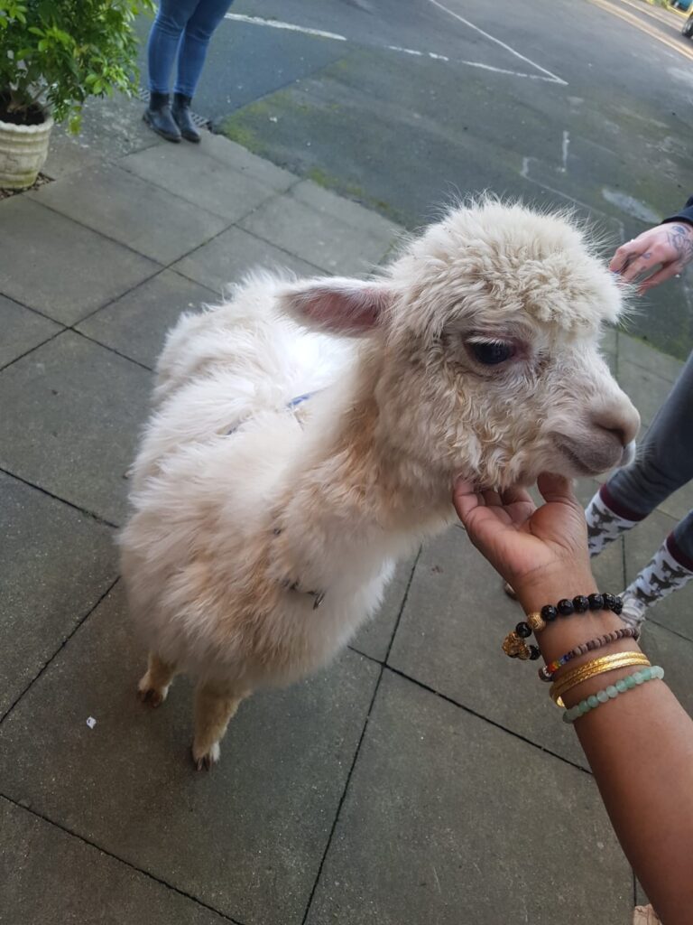 Visit from 'May' | Stanway Green Lodge