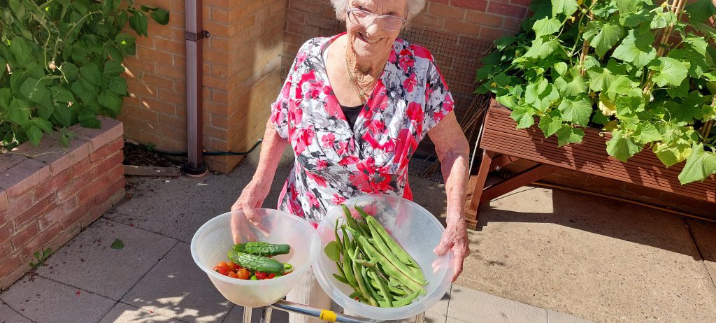 Vegetable Harvest | Stanway Green Lodge